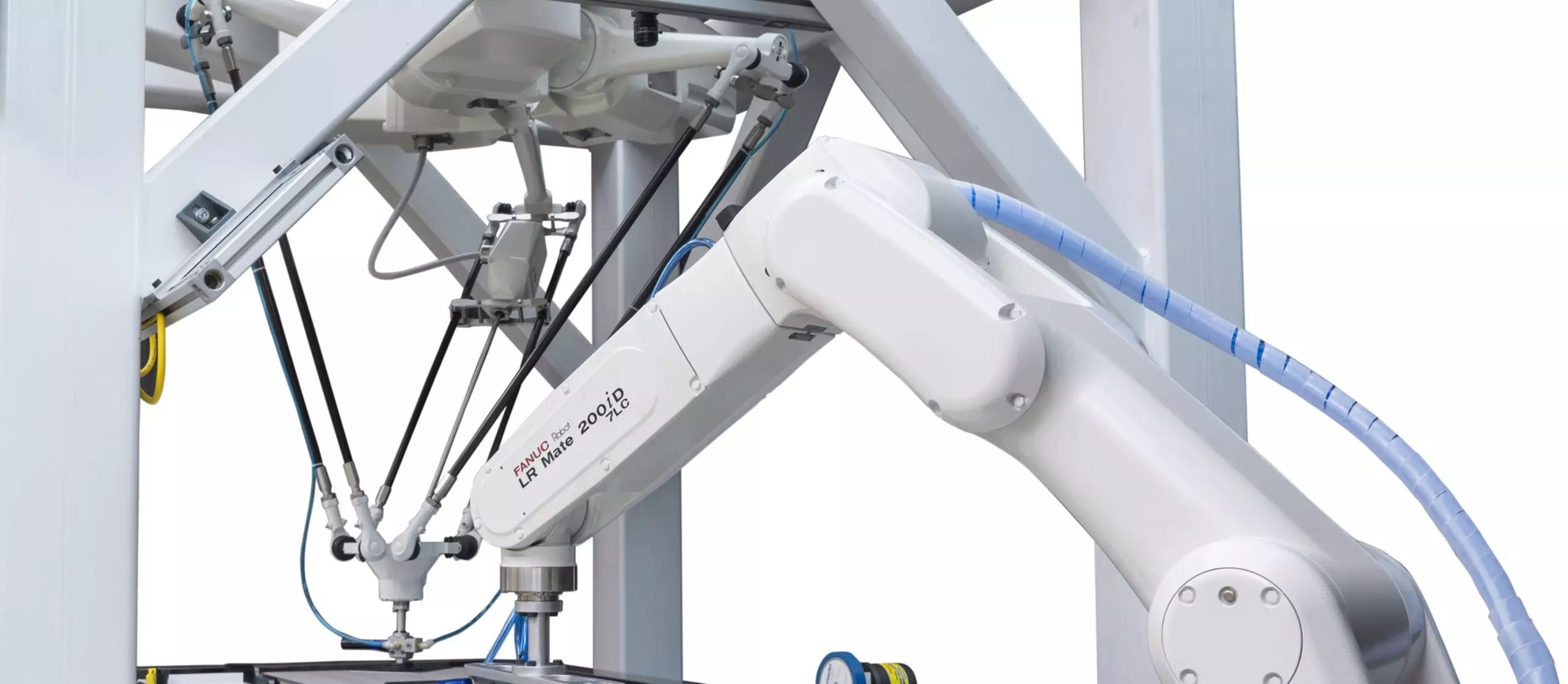 Food and clean room robots - See our model range here